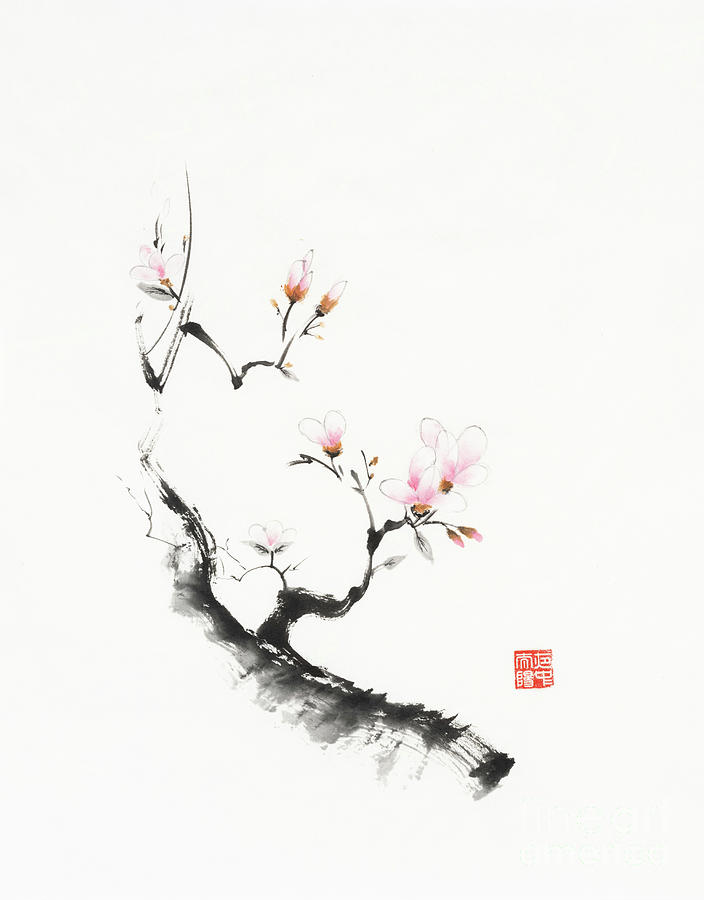 Sumi-e painting of a Sakura cherry blossom branch with budding f ...