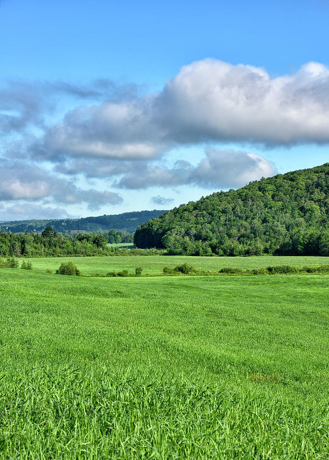Summer Fields in The Northeast Kingdom - Vermont Photograph by Brendan ...