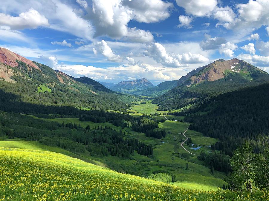 Sun And Shadows Photograph by Lori J Welch - Fine Art America