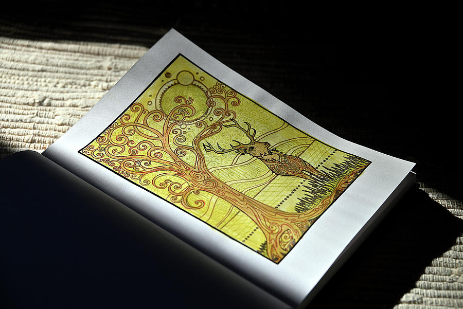 Sun on the Journal Page Photograph by Katherine Nutt - Fine Art America