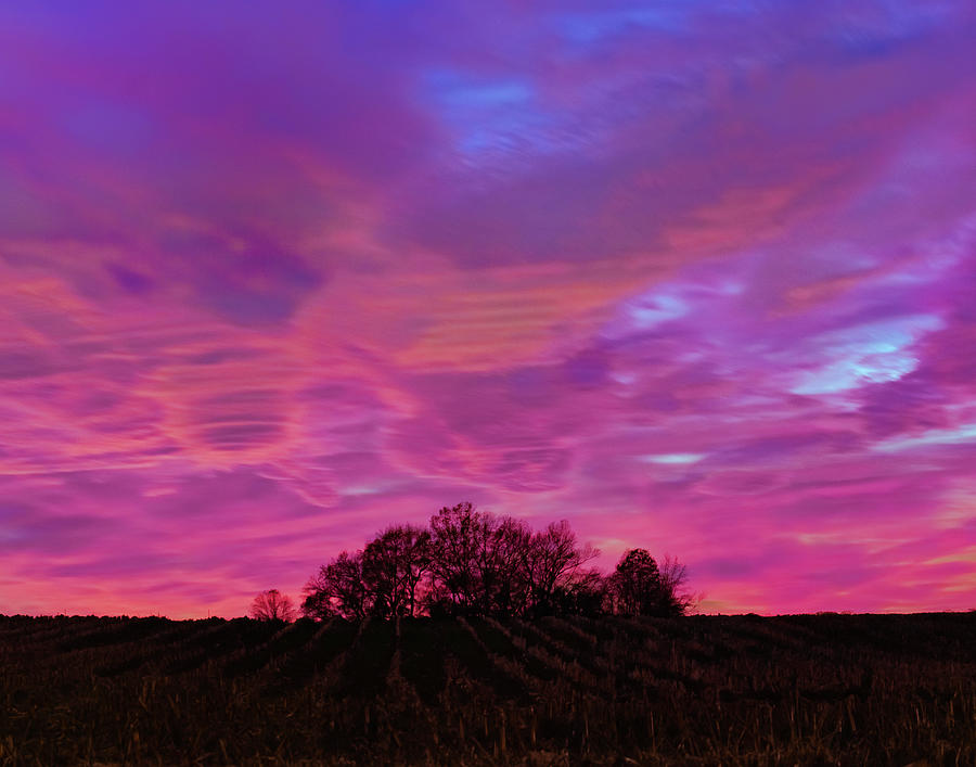 Sun Setter Photograph by John Falla - Fine Art America