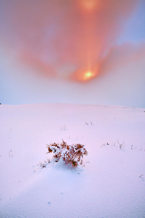 Sun through the fog. Sunset at the high snow mountains.... Sierra ...
