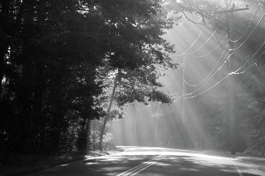 Sunray's Photograph by Humarock Studios - Fine Art America