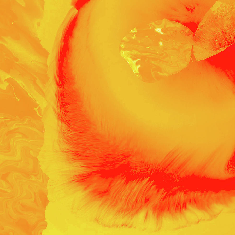 Sunrise tango abstract Digital Art by Silver Pixie - Fine Art America