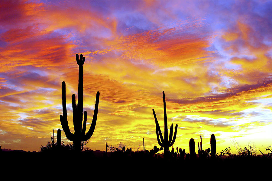 Sunset Evolution, Chasing The Light Photograph by Douglas Taylor - Fine ...