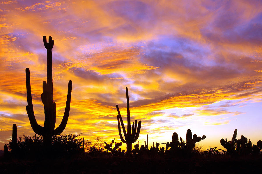 Sunset Evolution, Setting The Clouds Afire Photograph by Douglas Taylor ...
