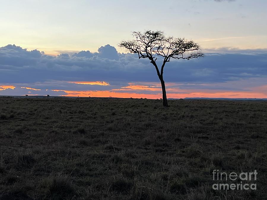 Sunset in the Rift Valley Photograph by Nancy Worrell | Fine Art America