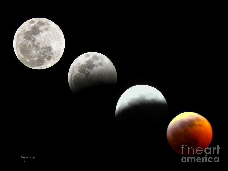 Super Blood Wolf Moon Eclipse Photograph by Virginia Wright - Pixels