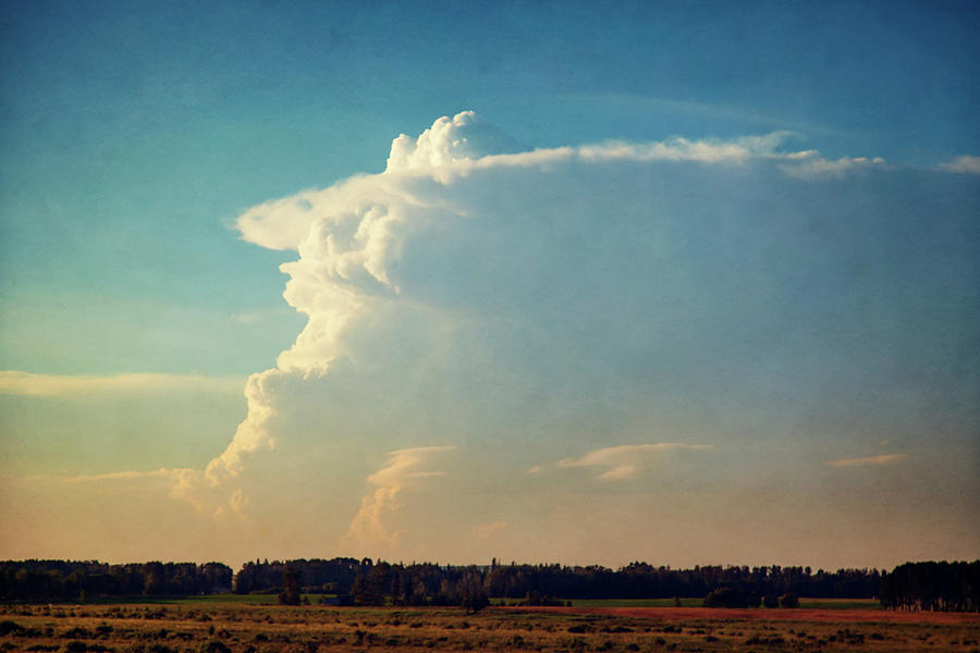 Supercell Structure Photograph by Roberta Murray - Pixels