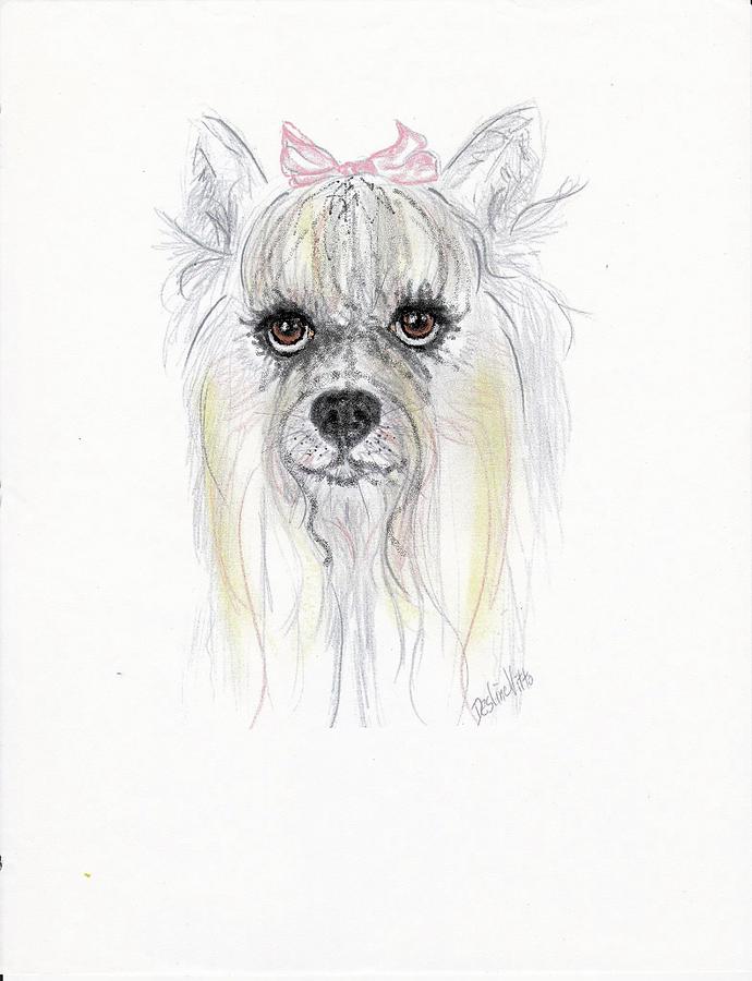 Sweetie Drawing by Desline Vitto - Fine Art America