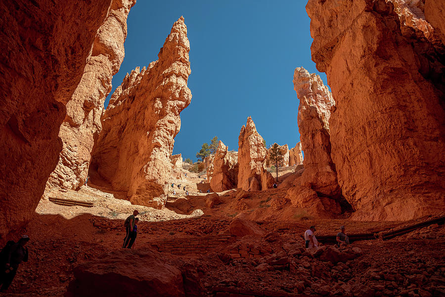 Switchbacks Up Photograph by Nicholas McCabe - Fine Art America