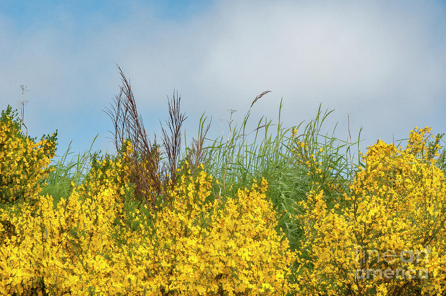 Teamwork 2023 Photograph By Michael Ziegler Fine Art America