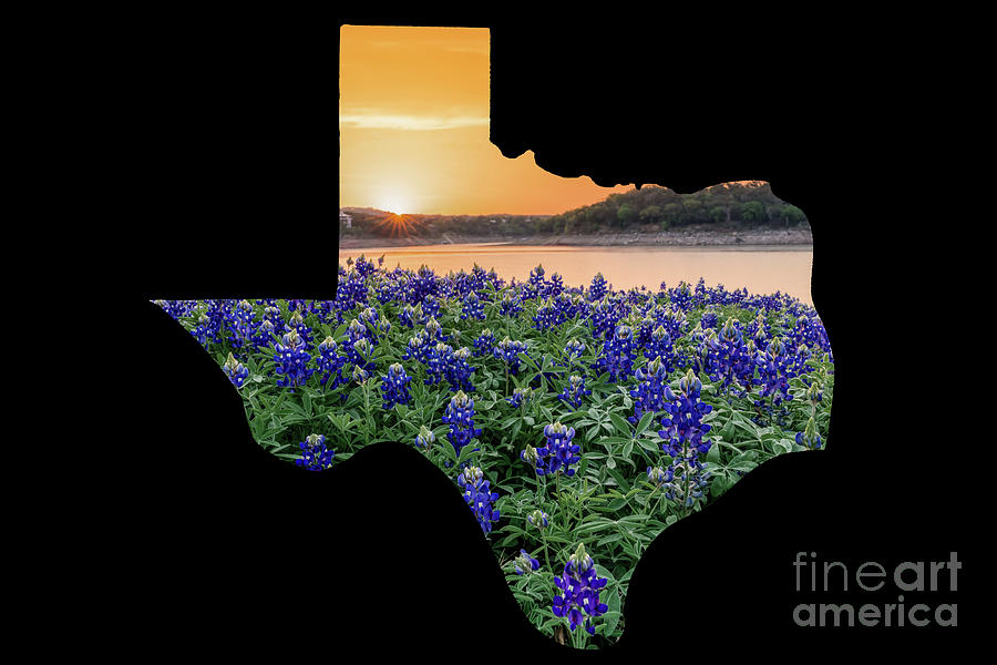 Texas Map and Bluebonnets Photograph by Bee Creek Photography - Tod and ...