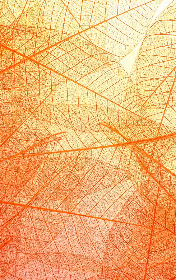 Textile leaf pattern Tapestry - Textile by Rekib Ali - Fine Art America