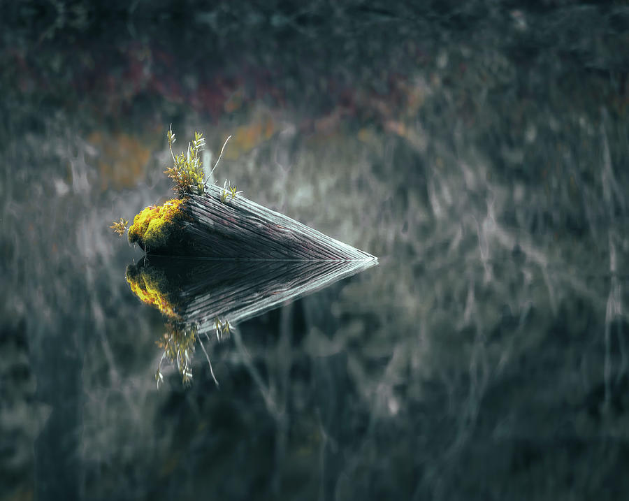 The Art of Reflections Photograph by Bob Wild - Fine Art America