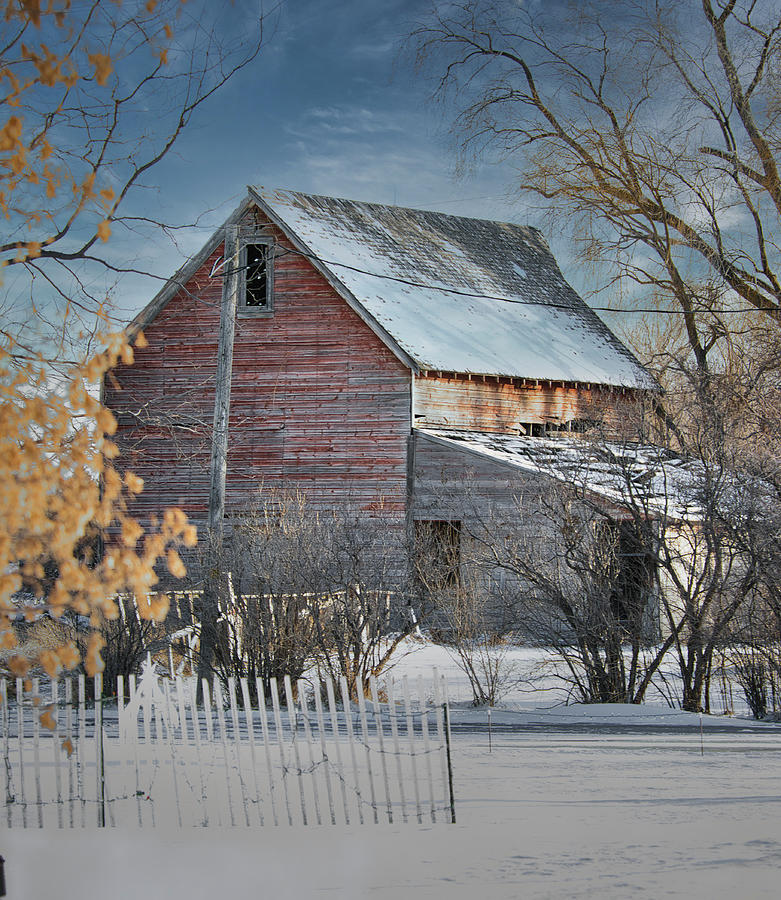 The Backyard Photograph by Peter Ramirez - Fine Art America