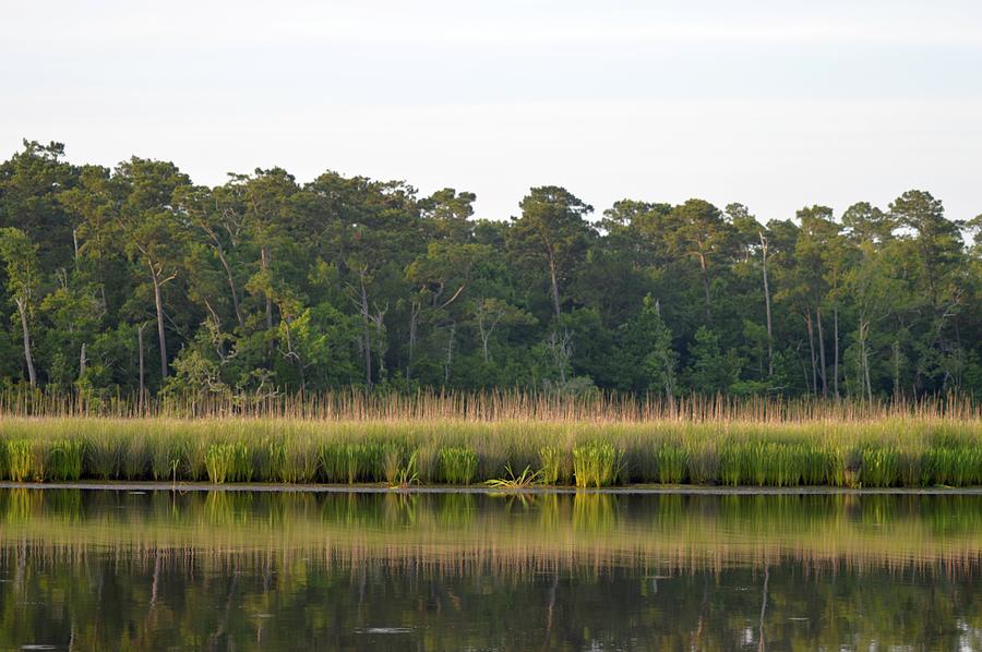 The Bayou 2 Photograph by Neal Stone - Fine Art America