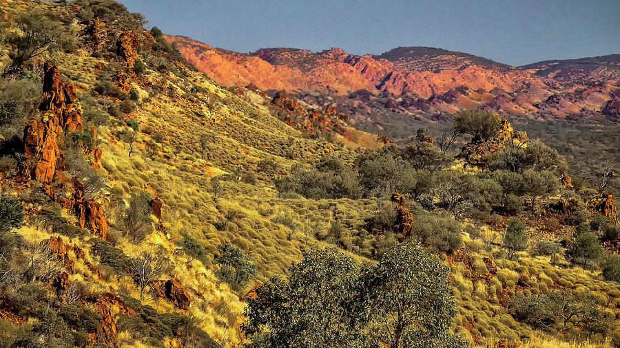 The Centre Photograph by Bette Devine - Fine Art America