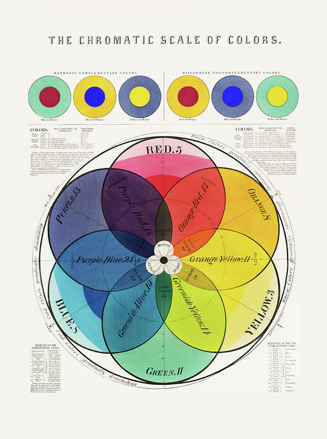 The Chromatic scale of colors, Modern Abstract Colors Digital Art by ...