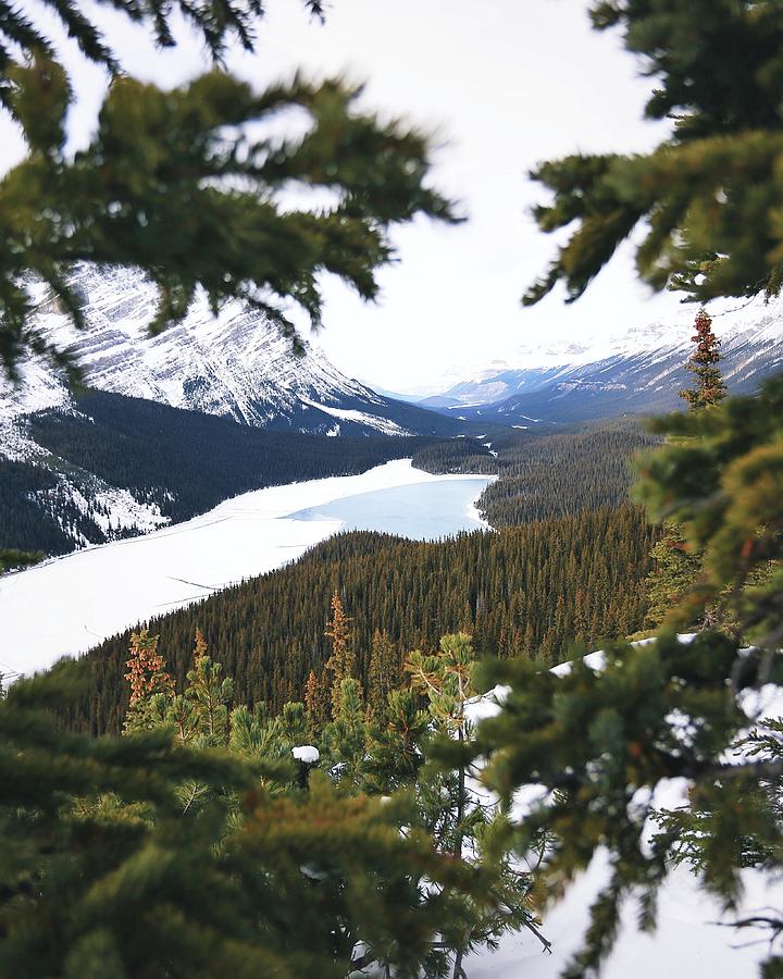 The dog's head - lake between mountains with pine trees Photograph by ...