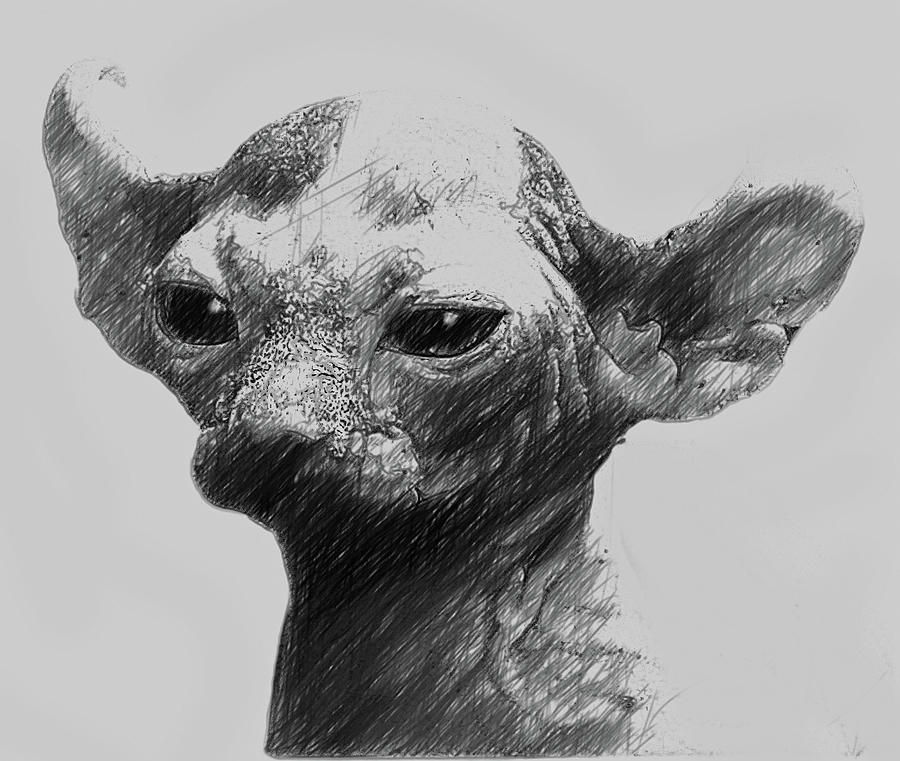 The Dwelf Cat Digital Art by Bob Smerecki - Pixels