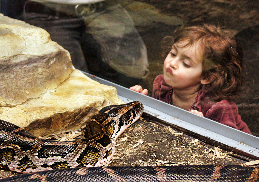 The girl who kisses pythons Photograph by Geneva Bailey - Fine Art America