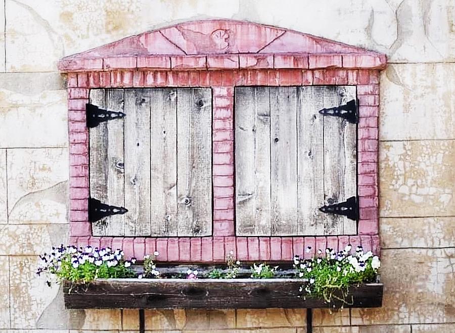 The Hidden Window Photograph by Eileen OConnor - Fine Art America