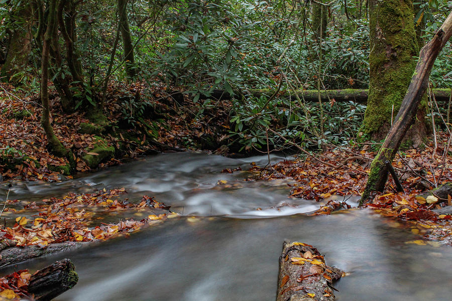 The Mill Stream Photograph by Mandy Jordan - Pixels