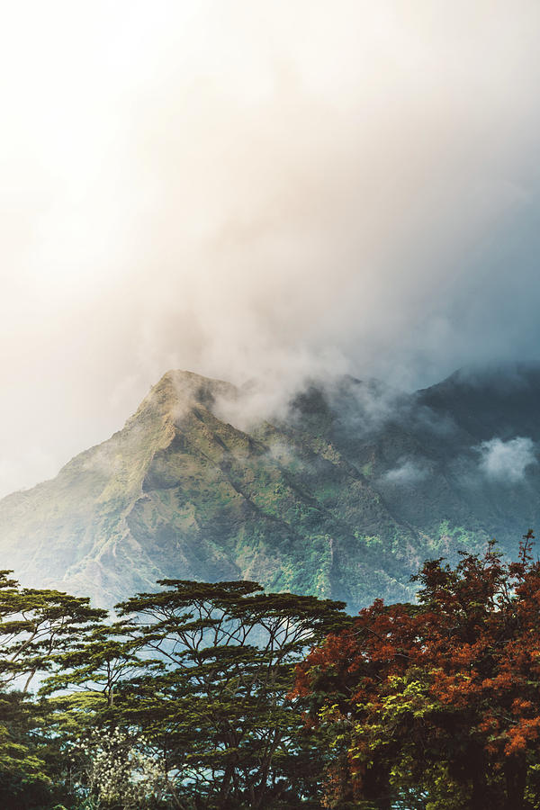 The Mountains Will Remember me Photograph by Joey Rees - Fine Art America