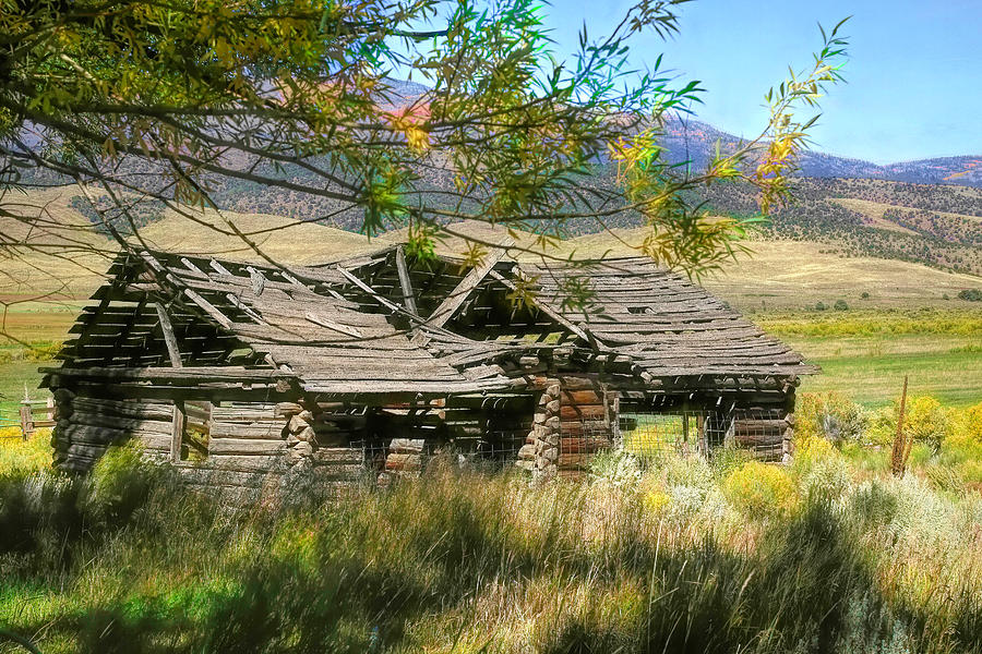 The Old Log Homestead Photograph by Donna Kennedy - Fine Art America