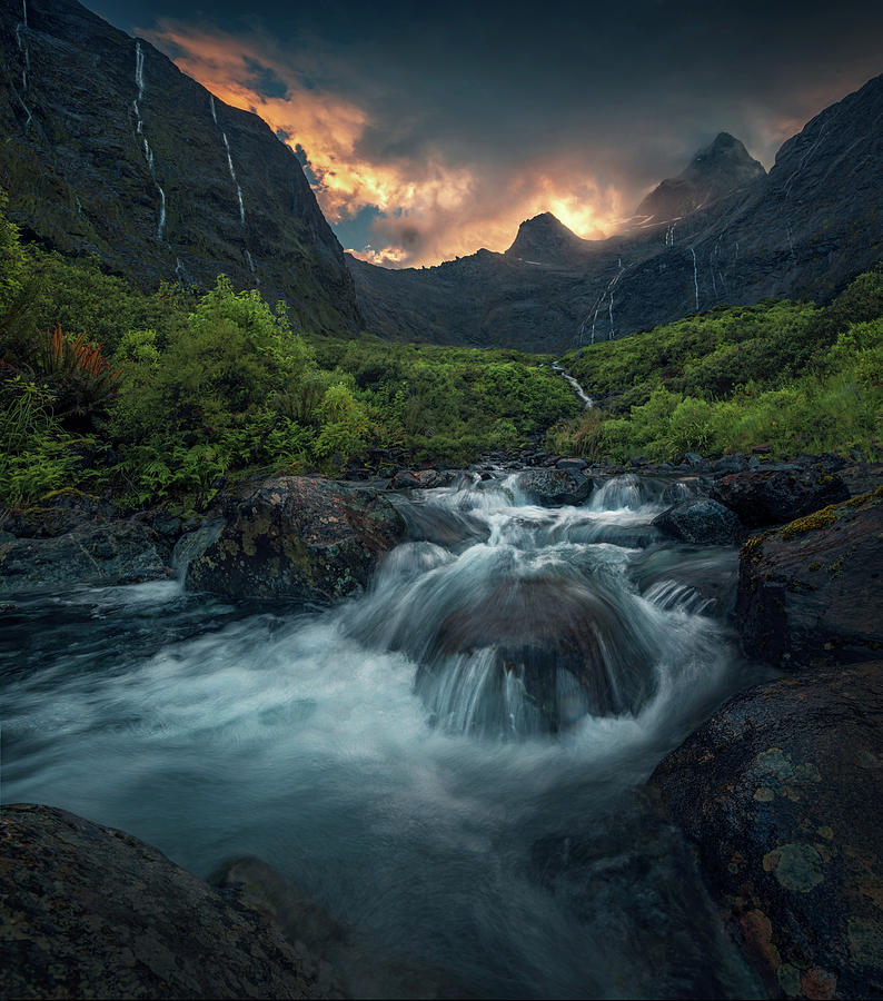 The Rising Fire Pyrography by Max Rive - Pixels