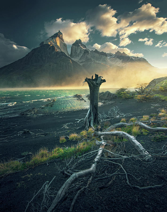 The Rocket Pyrography by Max Rive | Fine Art America