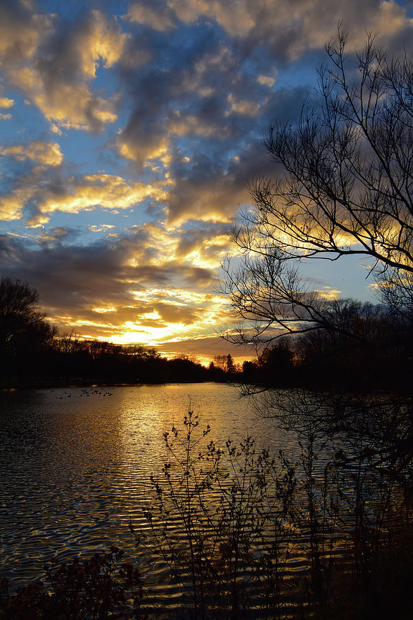 The Setting Sun Photograph by Maria Keady | Fine Art America