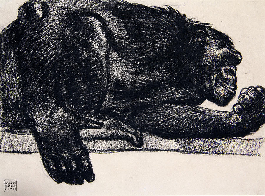 The Thinker Drawing By Mon Graffito Fine Art America