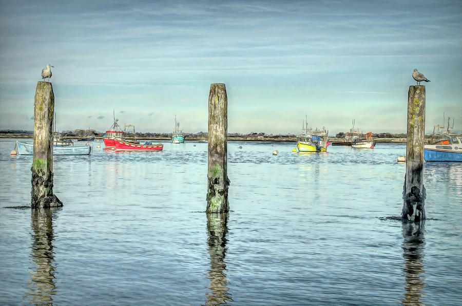 The Three Stumps Digital Art by Christopher OShea - Pixels