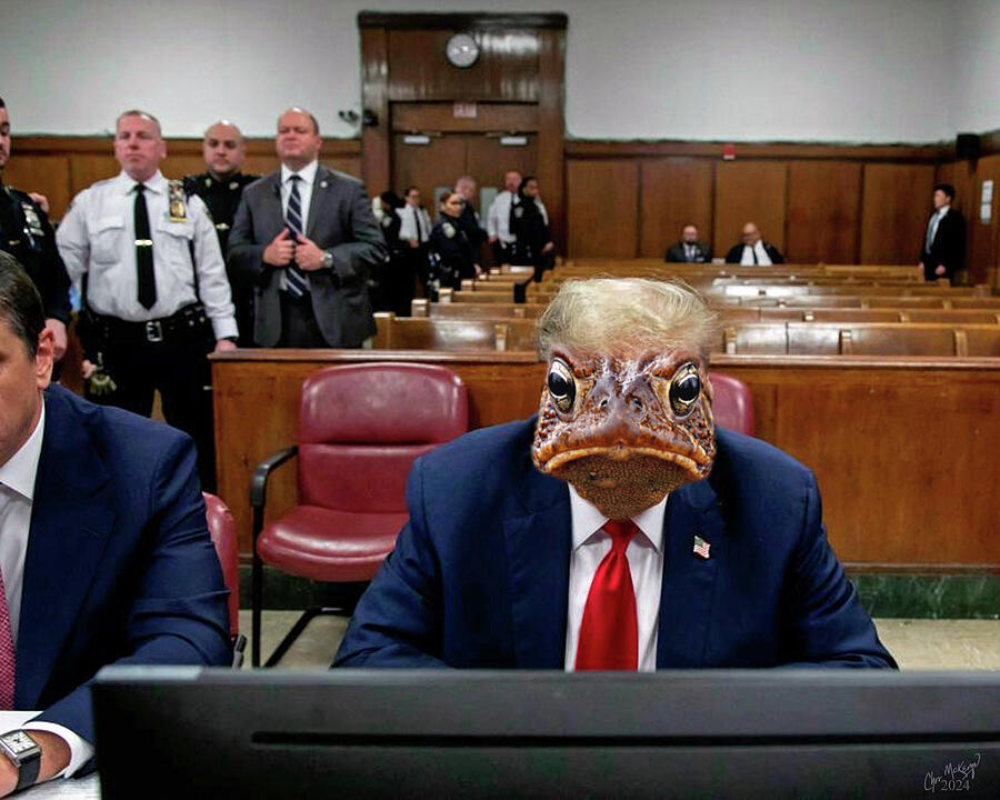 The Angry Toad Photograph by Christopher McKenzie - Fine Art America