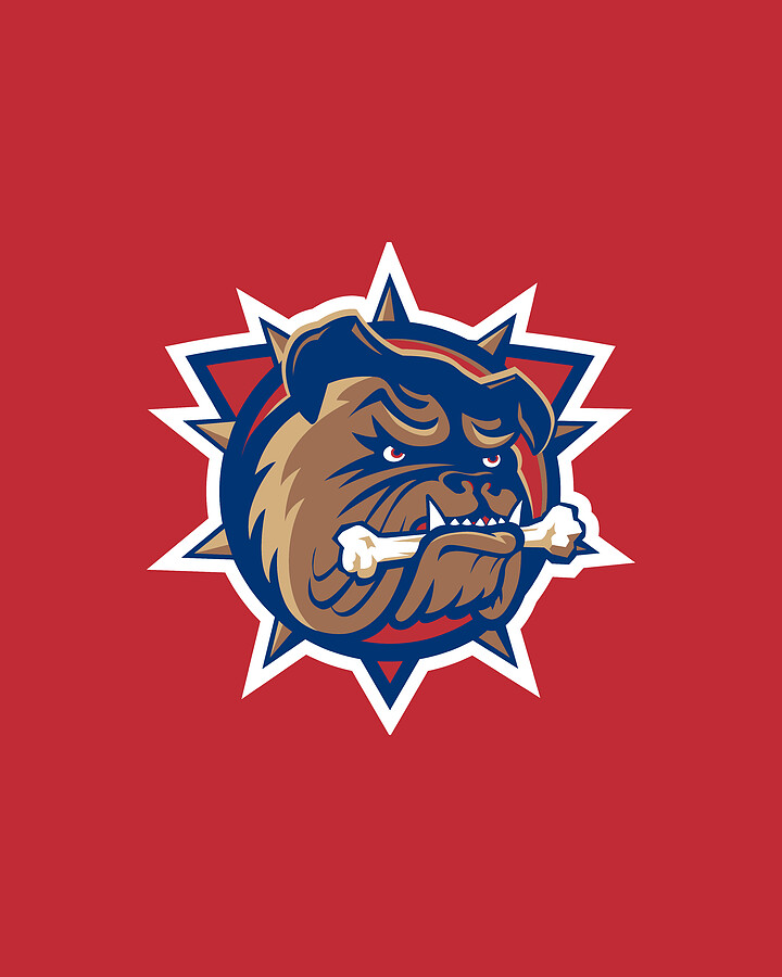 TheHamiltonBulldogslogo Drawing by Jidan Jayana - Fine Art America