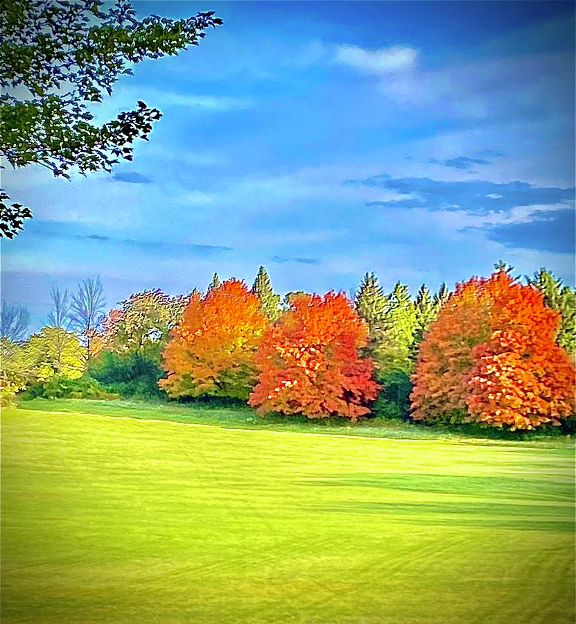 Three Wisconsin Maple Trees Photograph by Dr Ryan Champeau - Fine Art ...