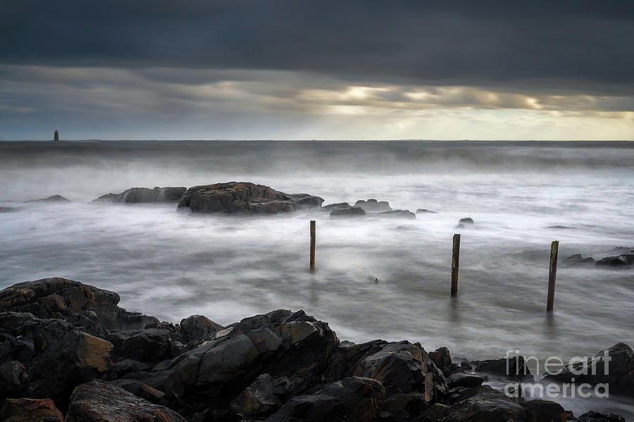 Three posts Photograph by Scott Thorp - Fine Art America