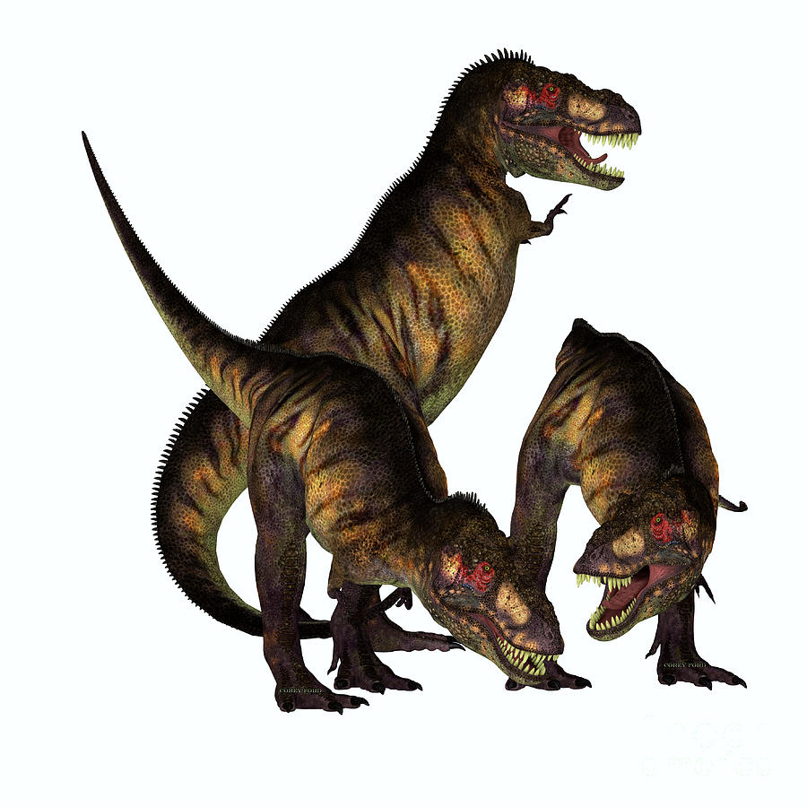 Three Tyrannosaurus Rex Digital Art By Corey Ford Pixels