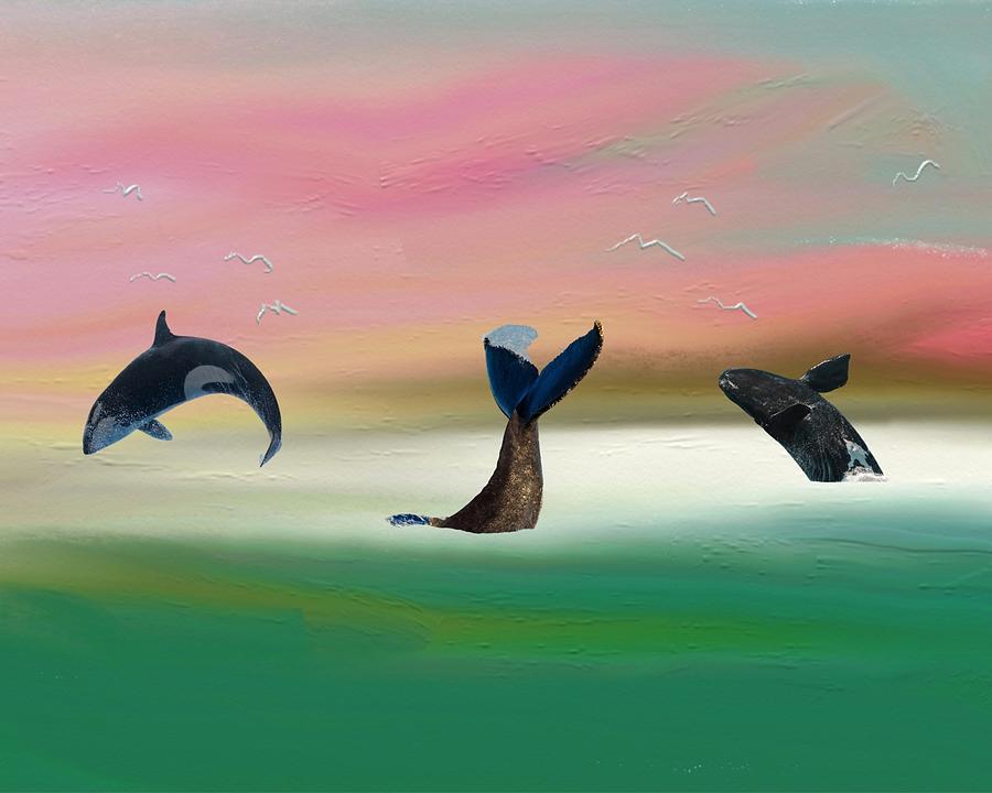 Three Whales Swimming in Pacific Ocean, Sea Mammals Painting by Chet ...