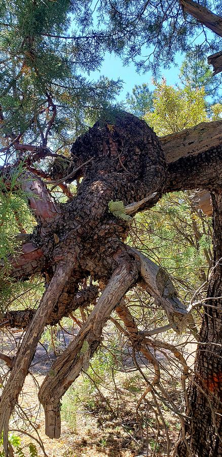 Time Changes Everything Photograph by Elizabeth Wright - Fine Art America