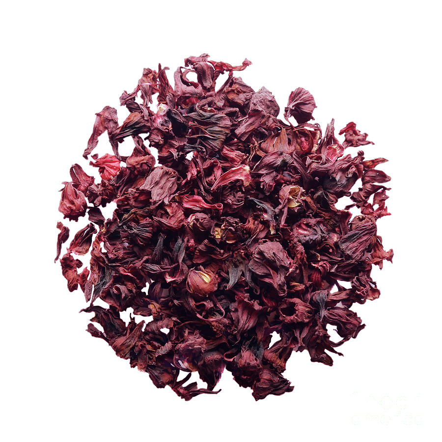 Top view of Dry Hibiscus petals isolated on white background clo Photograph by Olena Mykhaylova ...