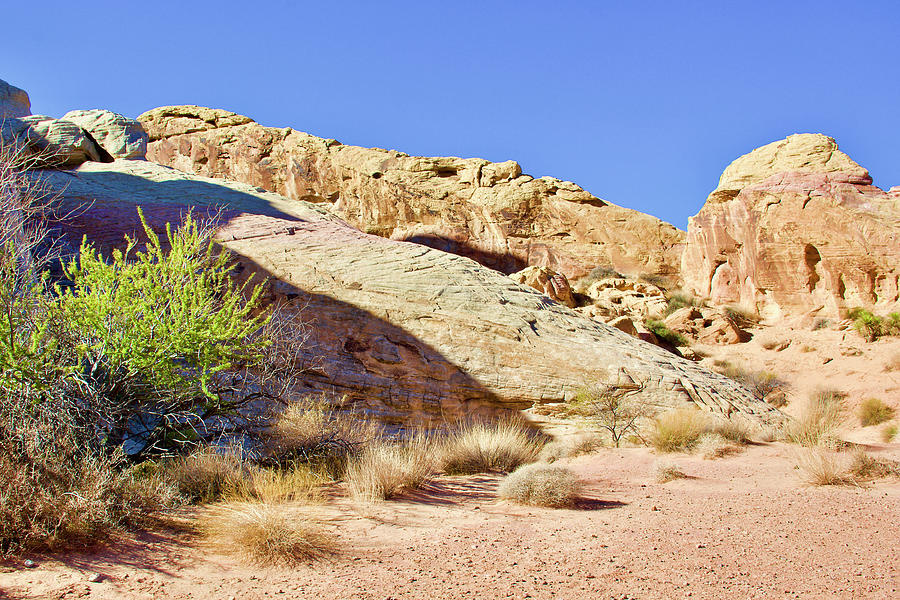 Tops of White Domes Area in Valley of Fire State Park, Nevada ...