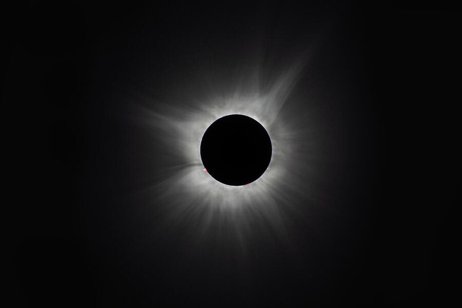 Total Eclipse 2024 Photograph by John Meader - Pixels Total Eclipse 2024 Photograph by John Meader - Pixels