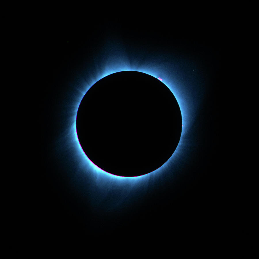 Total Solar Eclipse 2017 Photograph by Ben Ford - Fine Art America