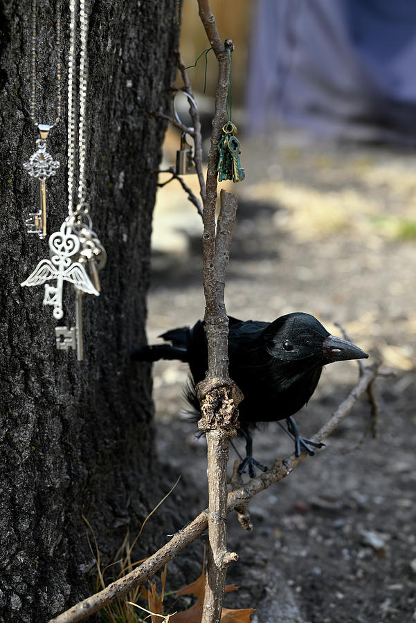 Toy Crow Key Collector Photograph by Katherine Nutt - Fine Art America