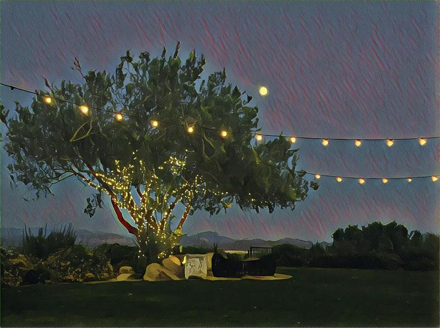 Tree at twilight Photograph by Jennifer Ramm - Pixels