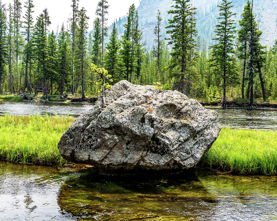 Tree in the Rock Photograph by Joe Flurer - Fine Art America