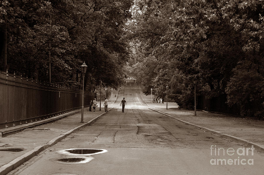 Tree Lined Lazienki Sepia Photograph By Michael Ziegler Fine Art America